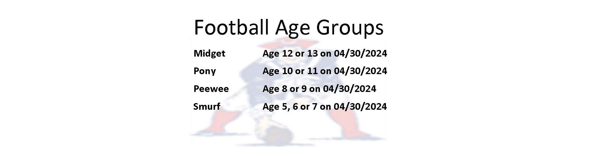 Red Land Midget Football League Home